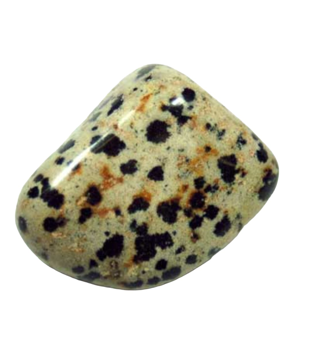 Dalmatian Jasper Jewellery – Lapis London